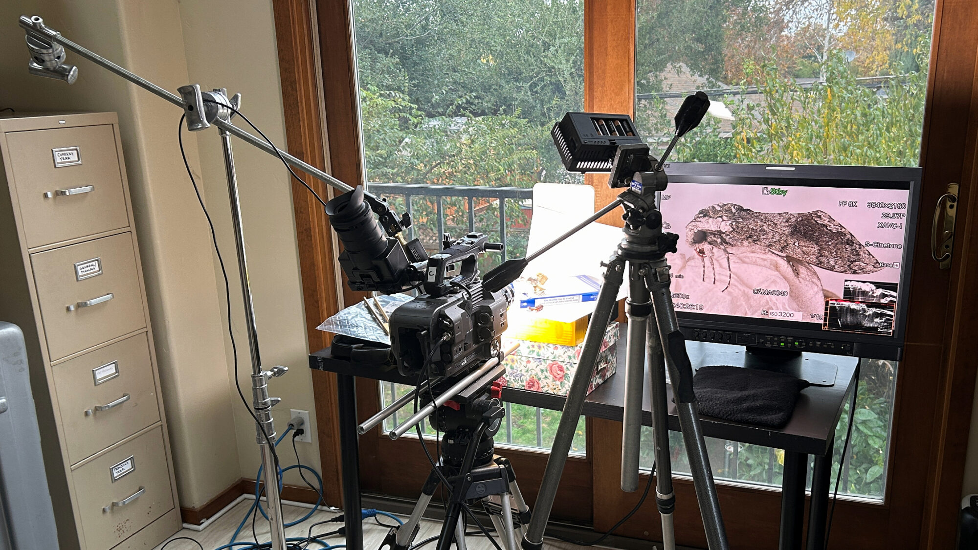 Unlocking the Tiny World of Macro Videography