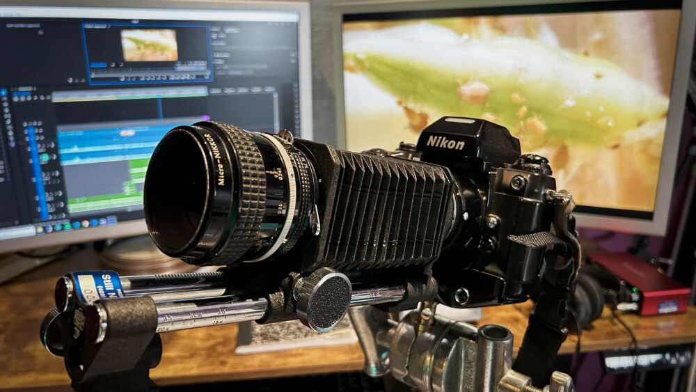 Unlocking the Tiny World of Macro Videography